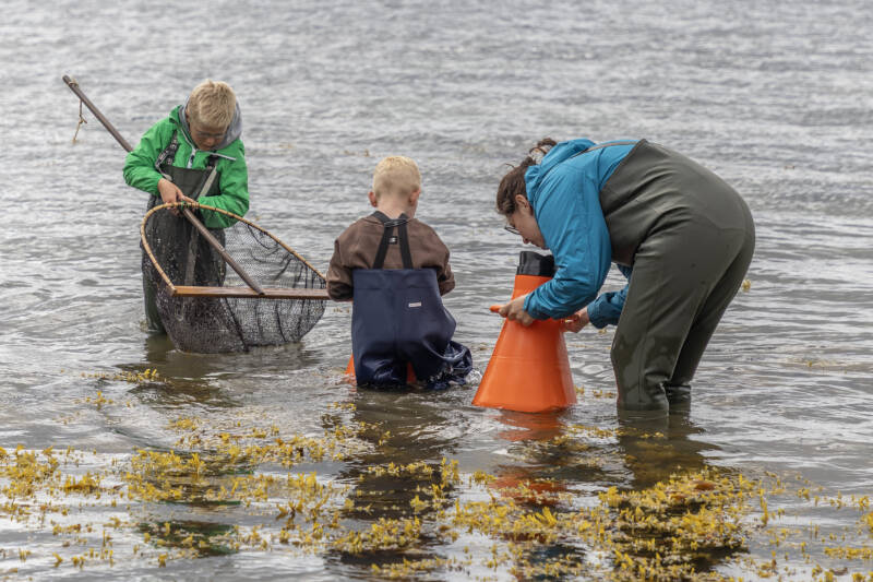 Naturvejlederne 2 - Gråsten Avis